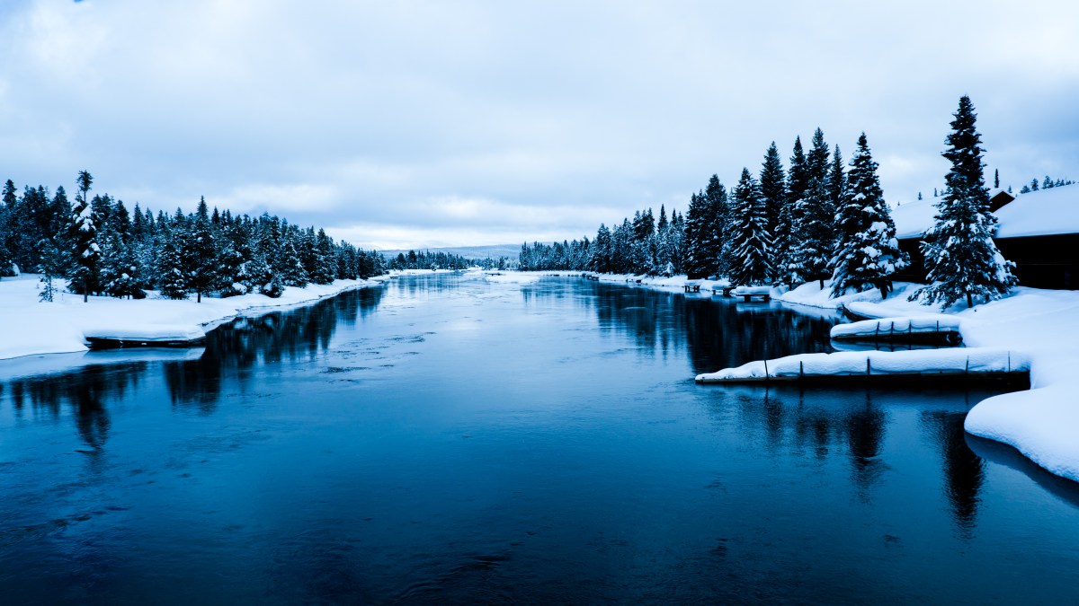 Landscape – Island Park – Jonathan Horan